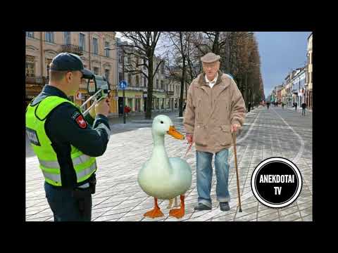 KAIMIETIS LAISVES ALEJOJE | NUSIPIRKO ŽASĮ | LAISVES ALEJA KAUNAS | AUDIO ANEKDOTAI