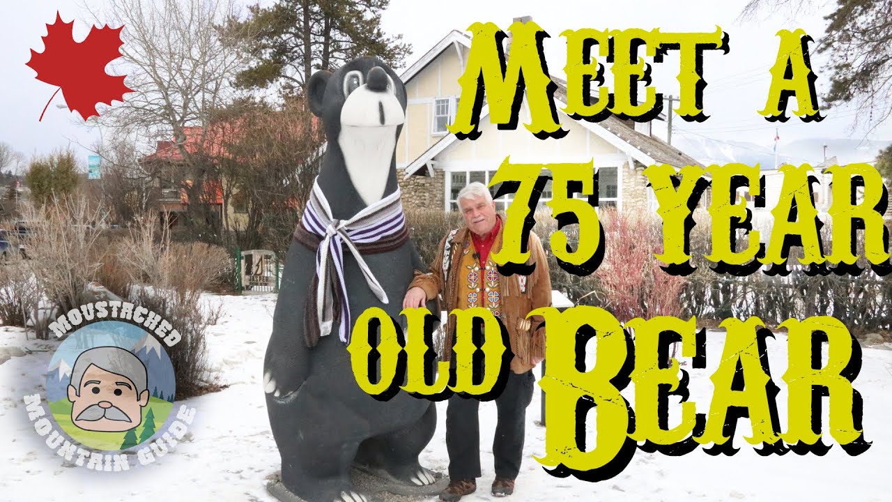 Jasper the Bear turns 75! | Jasper National Park, Canadian Rockies ...
