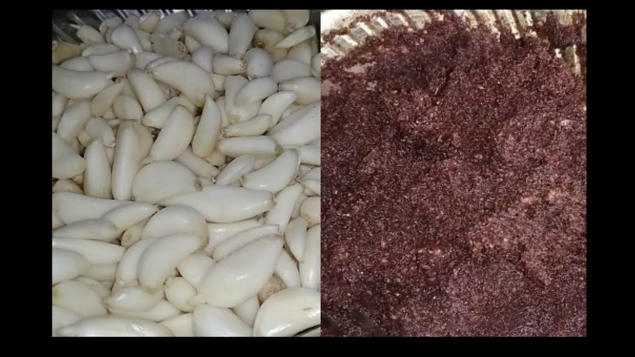 spicy garlic powder | healthy vellulli karam podi | poondu podi ...