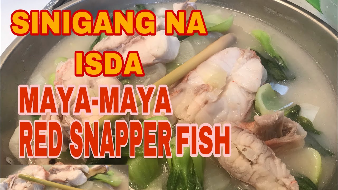SINIGANG NA ISDA MAYA-MAYA (RED SNAPPER FISH)WITH RADISH AND BOKCHOI ...