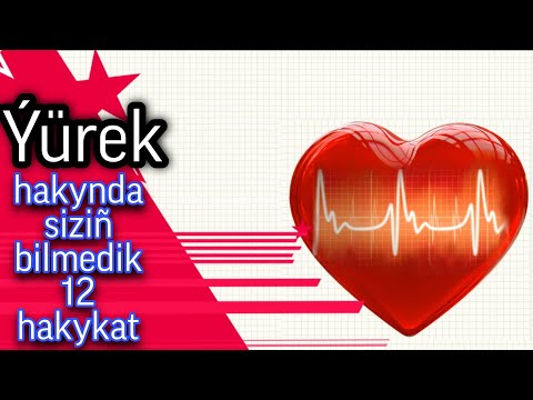 Ýürek hakynda 12 Fakt