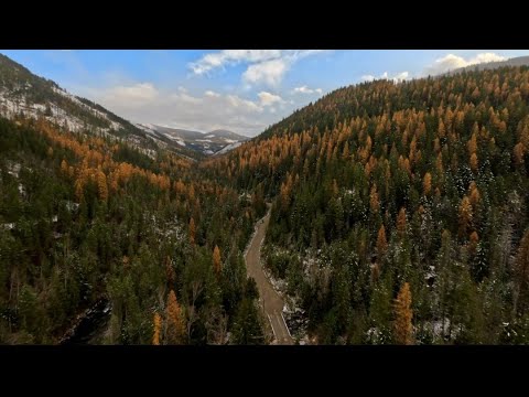 The Goat River, BC Canada (Camping in -5, Amazing Autumn views ) - YouTube