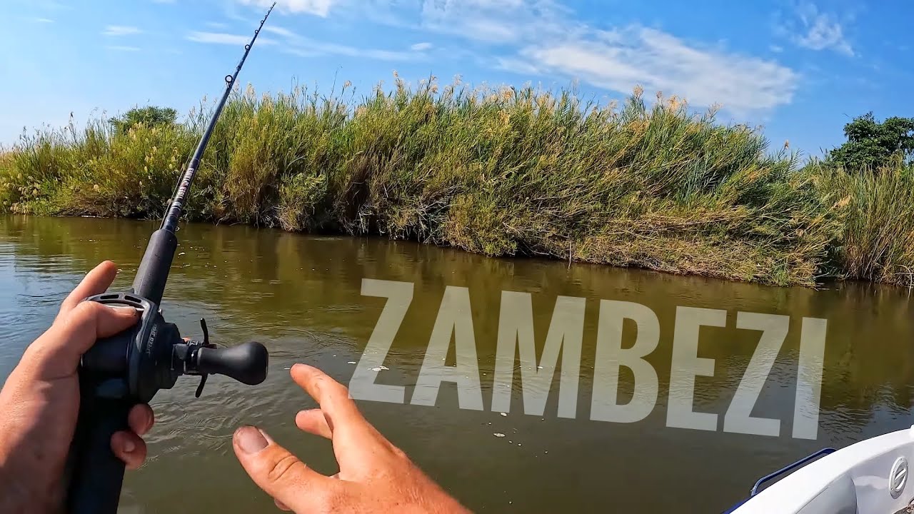 Tiger Fishing on the Zambezi and Close up elephant sightings - YouTube