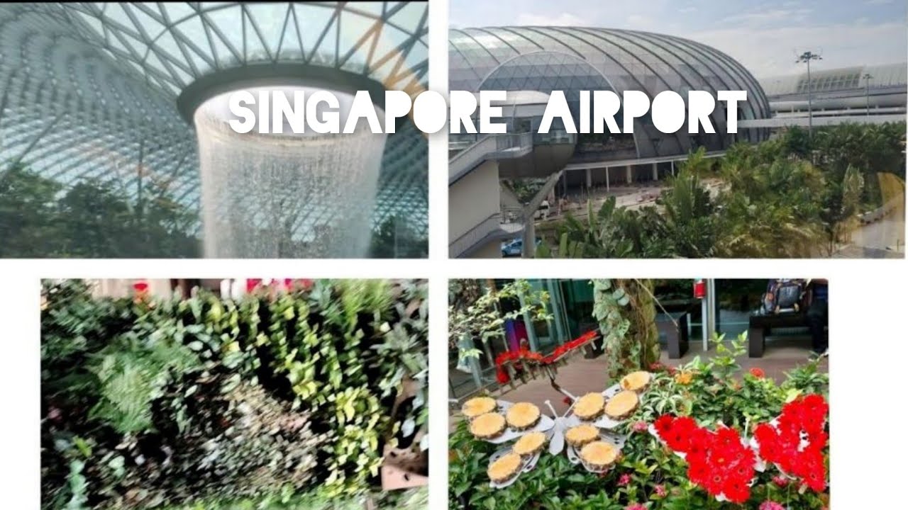 Singapore Changi International Airport/Butterfly Garden Terminal 3 ...