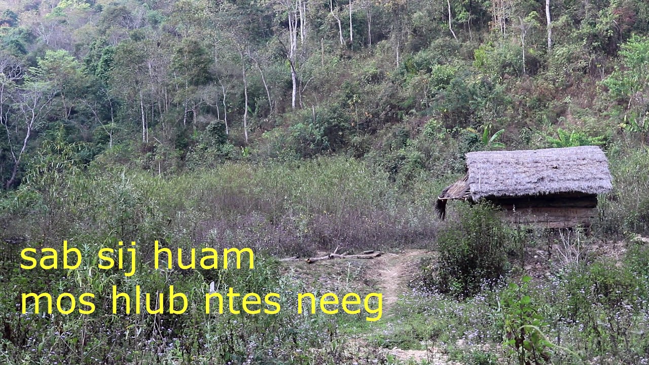 mos hlub ntes neeg - YouTube