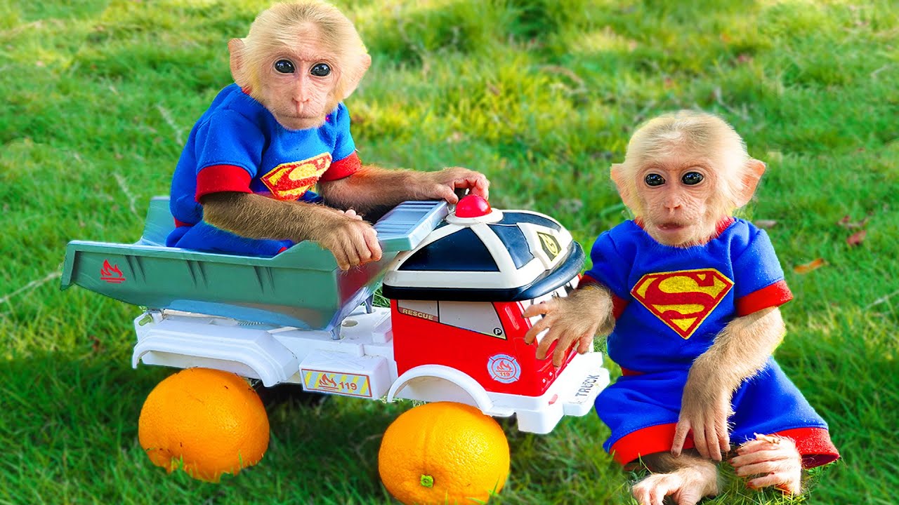 BiBi Monkey open suprise eggs and eat fruit with puppy so yummy ...