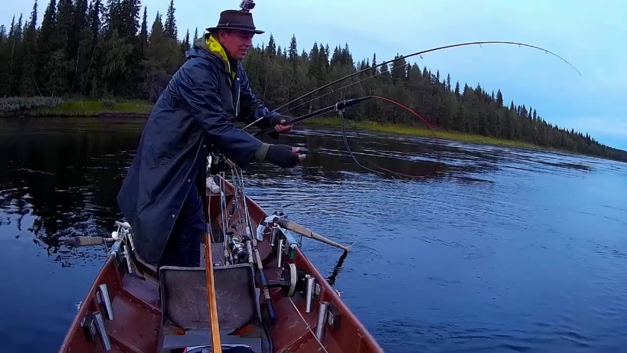 The salmon tailer - YouTube
