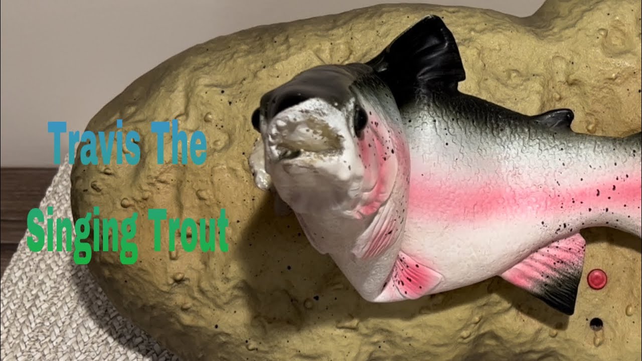 ‘Travis The Singing Trout’ Singing Fish - YouTube