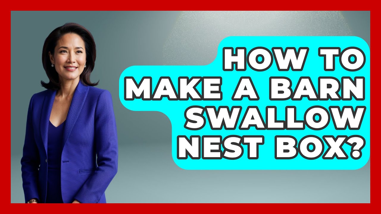 How To Make A Barn Swallow Nest Box? - Bird Watching Diaries - YouTube