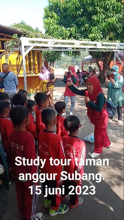 Study tour ke taman anggur. Subang, 28 Juni 2023 @fiqacemerlang215 - YouTube