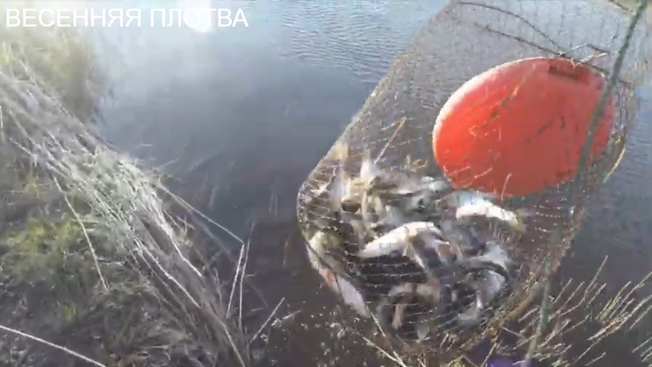 Ловля плотвы на поплавок CRALUSSO BOLO - YouTube