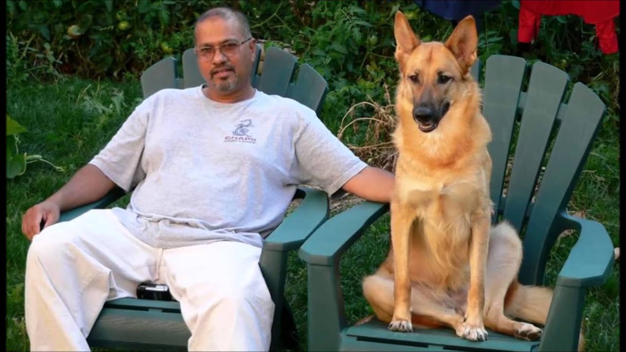 David Rampersaud - Jeevan Se Bhari (Cover) - YouTube