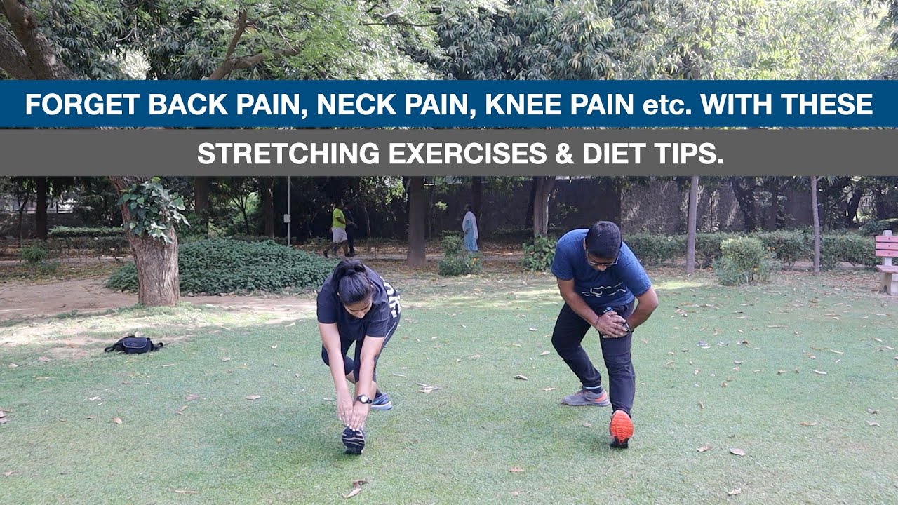 Reduce Back Pain Neck Pain Shoulder Pain during long drives, with ...