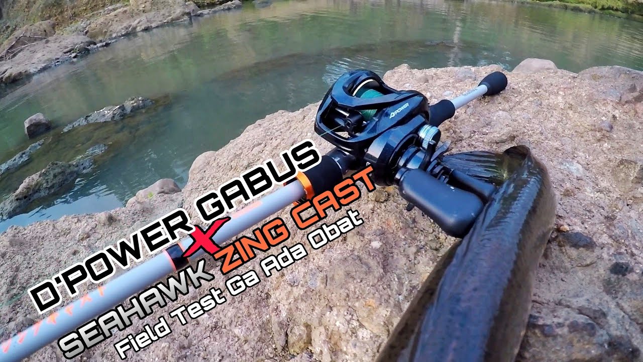 200K AJA PERFORMA SEPERTI 500K ‼️ D'POWER GABUS X JORAN SEAHAWK ZING ...