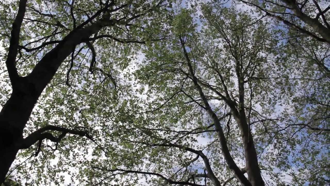 Atlas // Columns and Cobblestone - YouTube