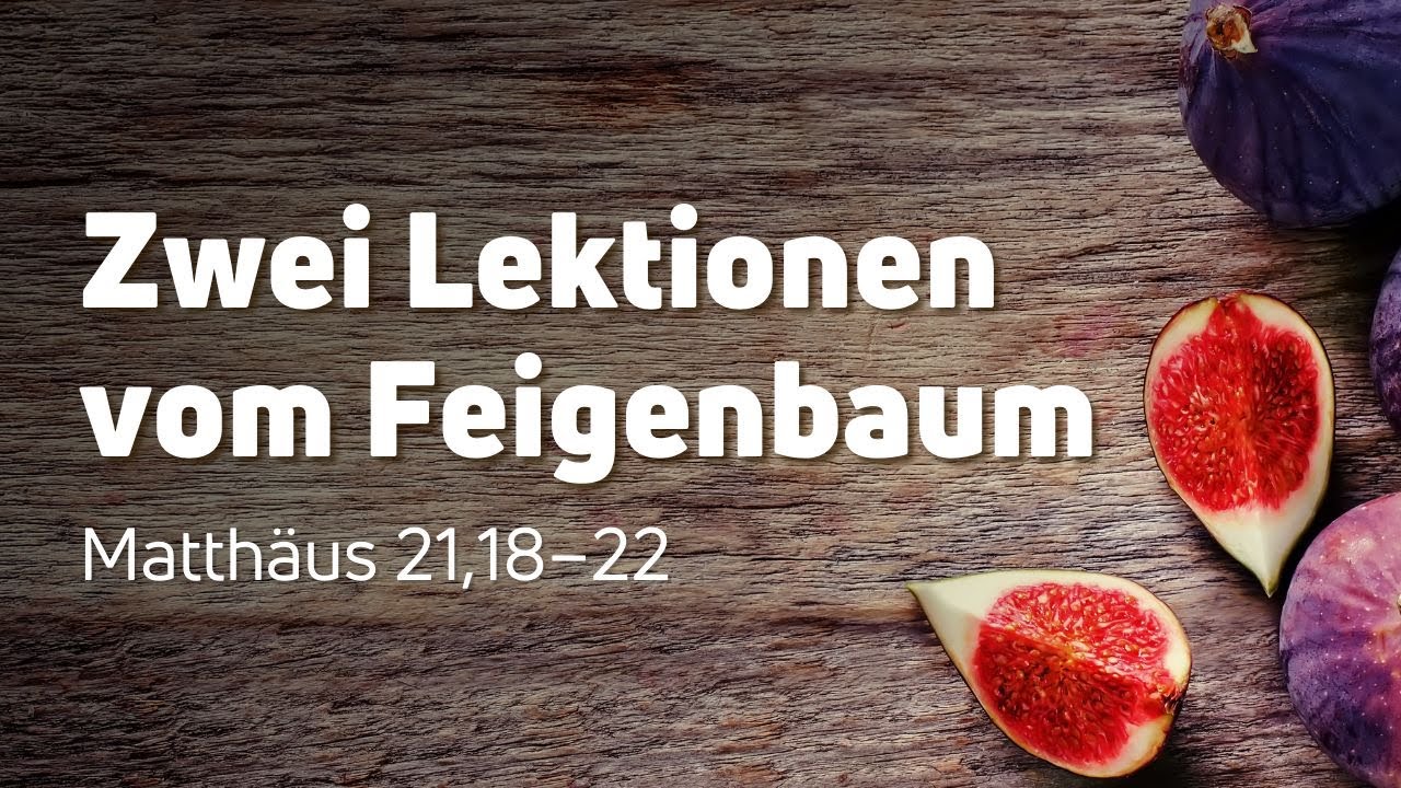 Matthäus 21,18–22 | Zwei Lektionen vom Feigenbaum | Daniel Diestel ...