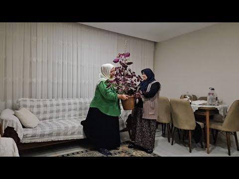 KUZENİM BENİ ÇİÇEKLE KARŞILADI 🥰