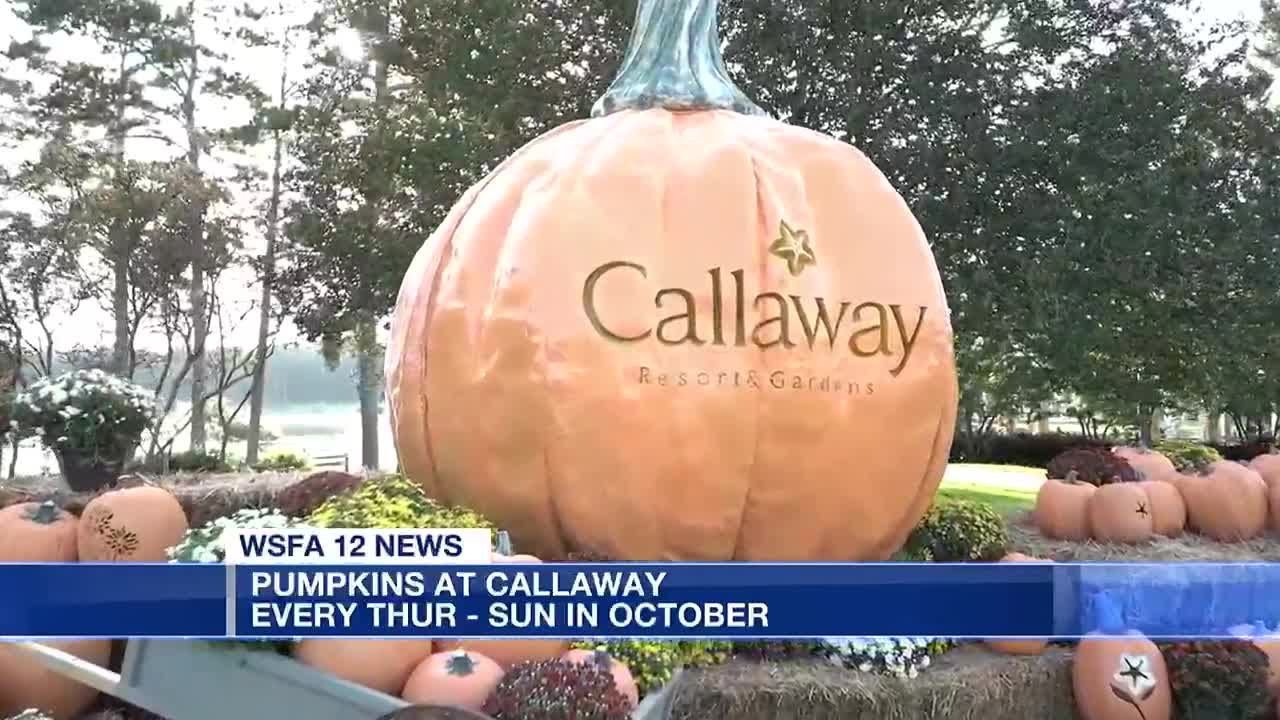 12 Talk: Pumpkins at Callaway - YouTube