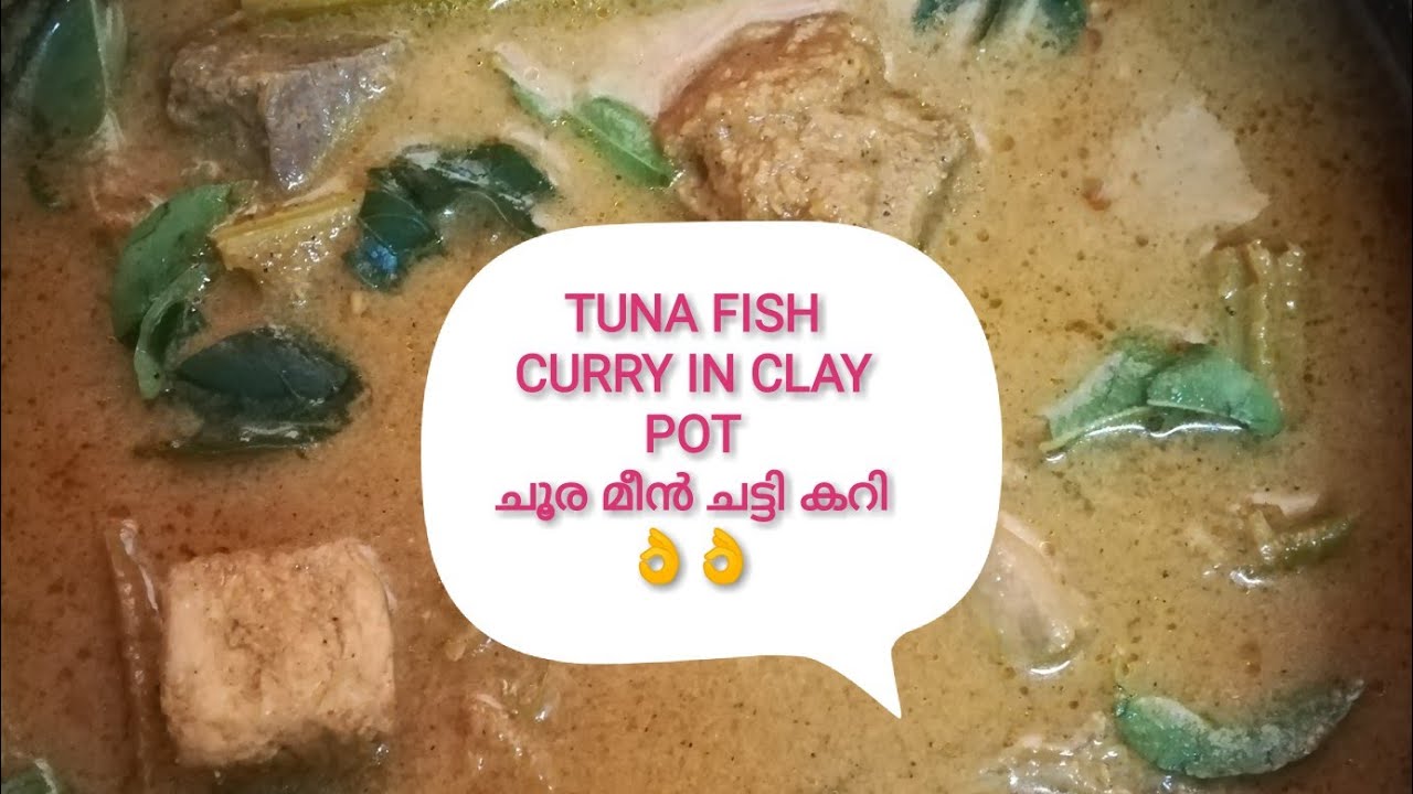 Tuna fish curry in clay pot / ചൂര മീൻ ചട്ടി കറി 😋😋 - YouTube