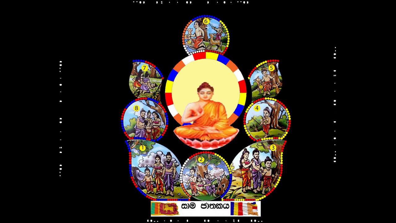 Digital vesak thorana 2016 - YouTube