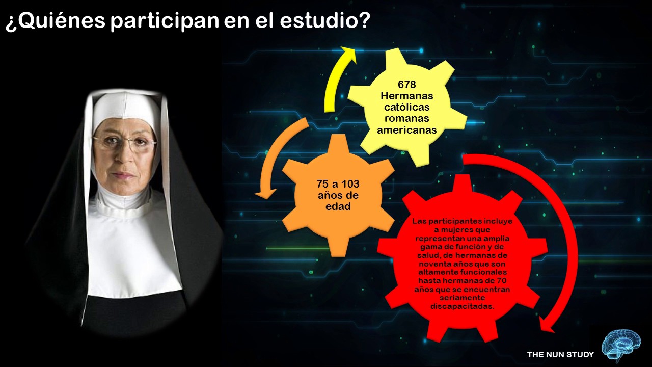 the nun study DIAPOS - YouTube