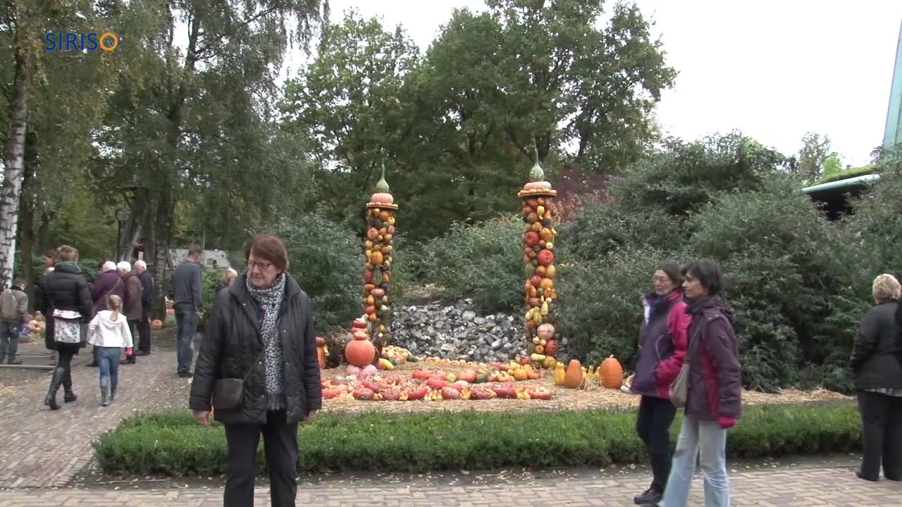 Pompoendagen in Klok & Peel Museum Asten - YouTube