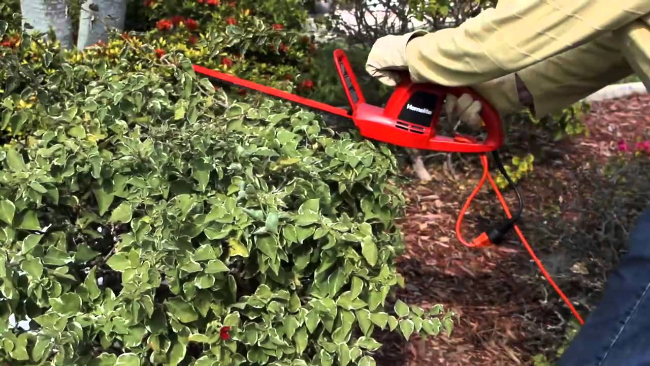 Homelite 17 in Hedge Trimmer.mp4 - YouTube
