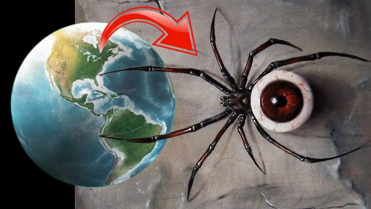 I found a giant strange spider on Google Maps 🌎 - YouTube
