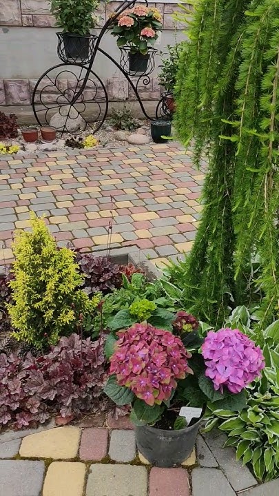 Купила новую Рембрандт Россо Глори. Дорого, но очень красиво! Буду ...