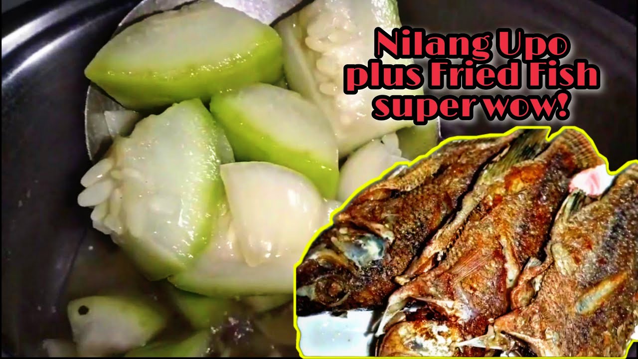 HOW TO COOK OPO SQUASH SIMPLE RECIPE'S WITH FRIED FISH | PERFECT ...