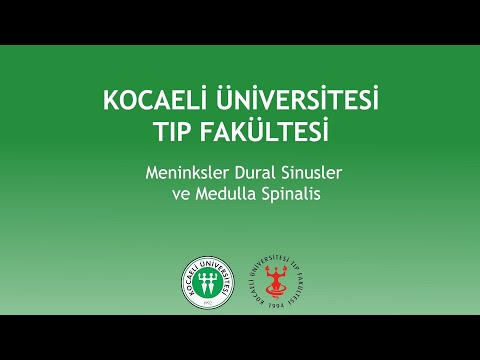 KOU Tıp Fakültesi Anatomi Ders Videoları - Meninksler Dural Sinusler ve Medulla Spinalis