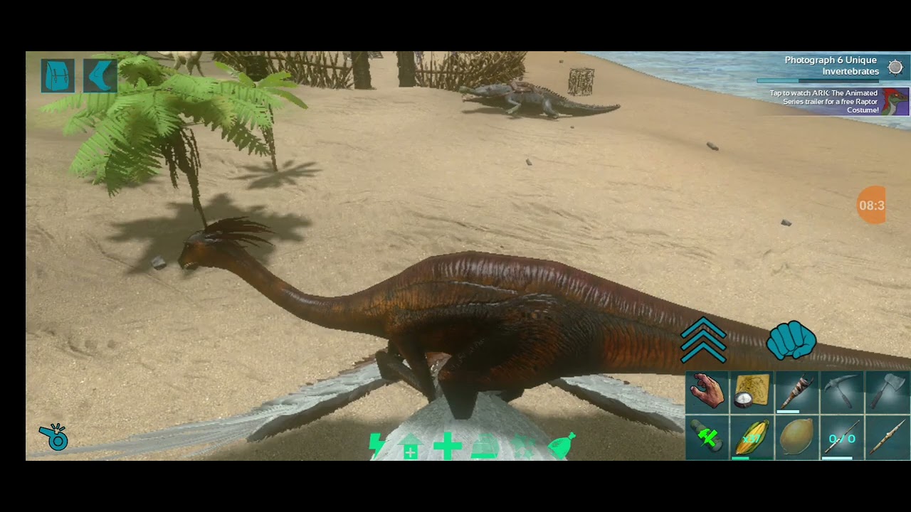 ark cool allo - YouTube