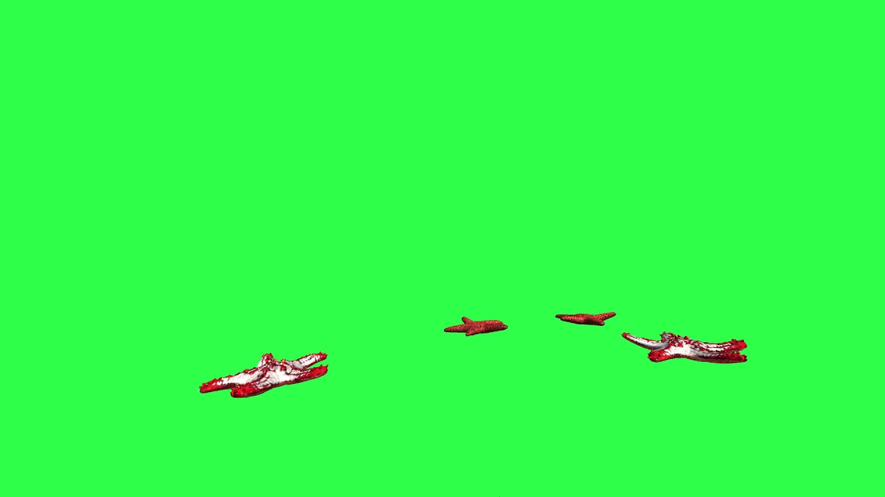 Realistic Green Screen Starfish Animation 3D - YouTube