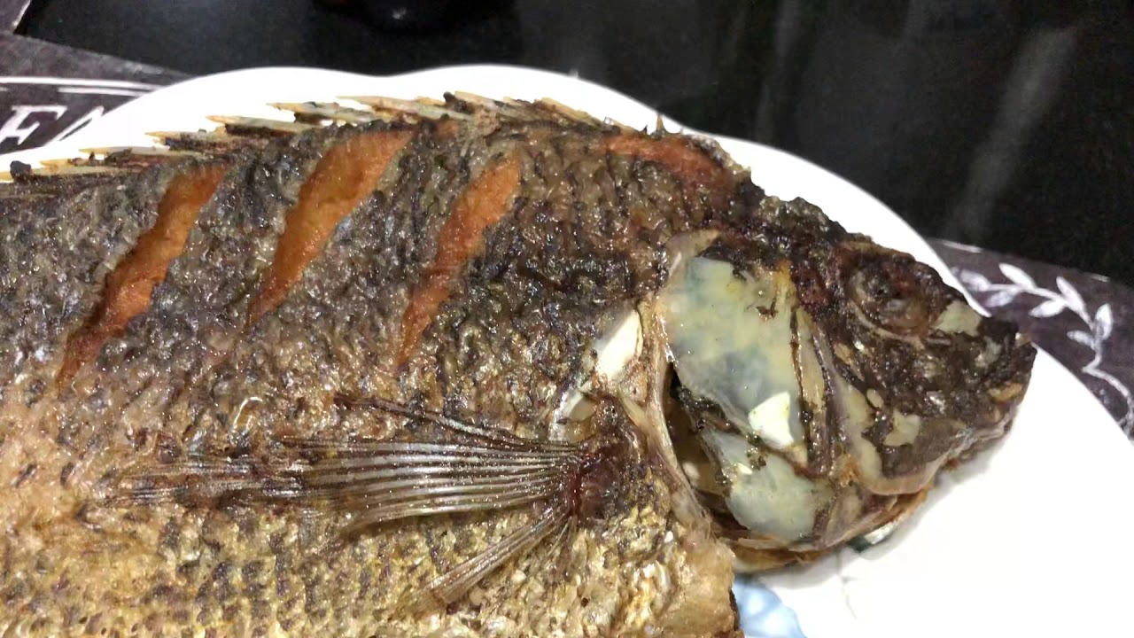 Mojarra pescado 🐠 frito - YouTube
