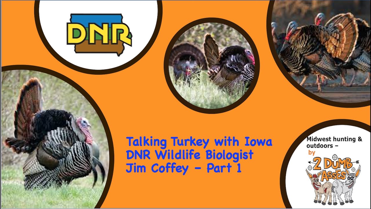 Season 2: Episode 10 - Talking Turkey with IA. DNR Wildlife Biologists ...
