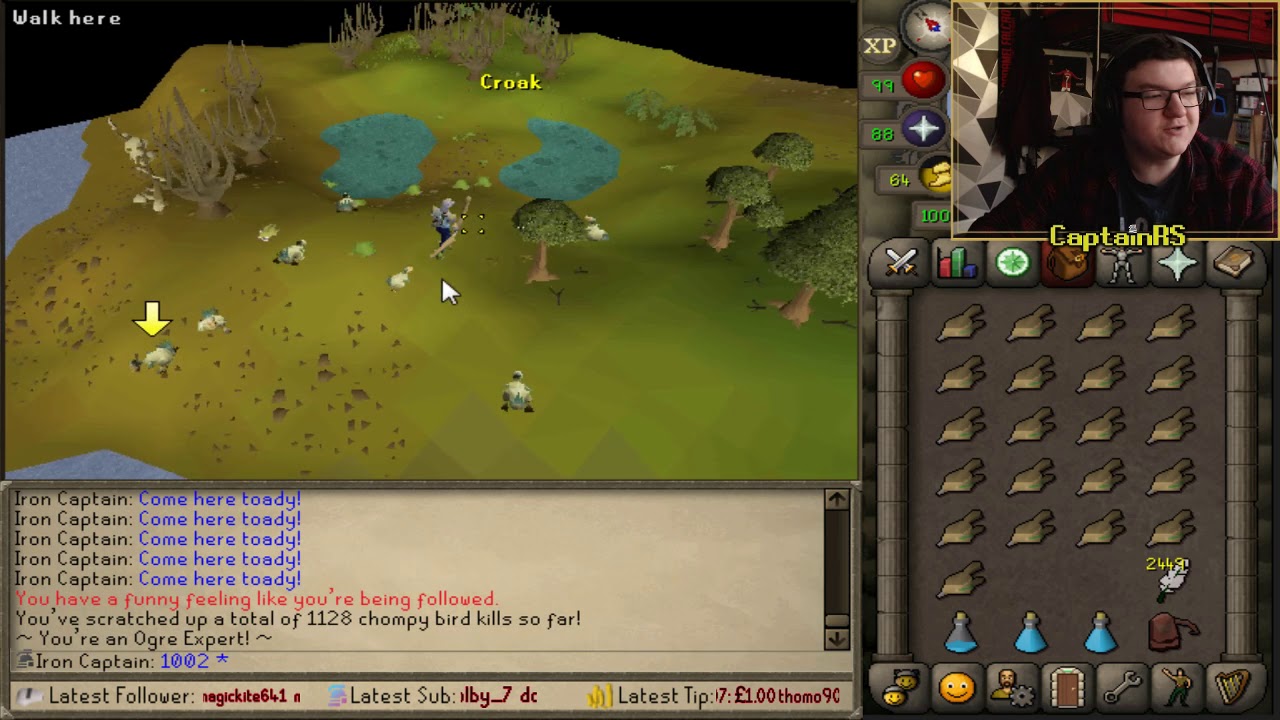 Chompy Chick Pet Reaction - Iron Captain - YouTube