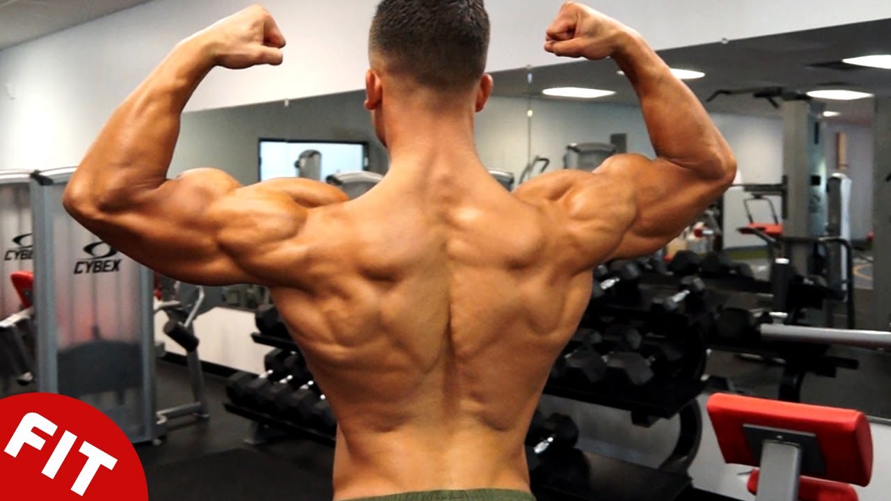 BACK ATTACK! Dominick Nicolai Back Workout - YouTube