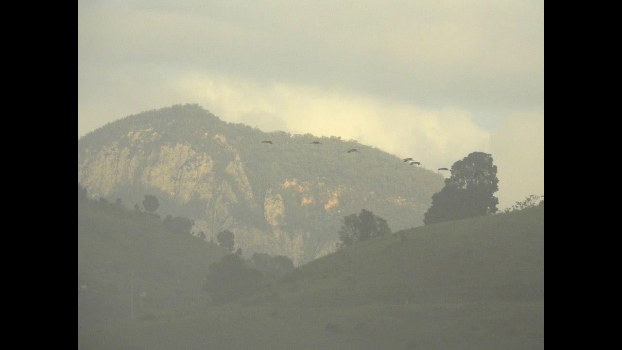 Mount Alford QLD - YouTube