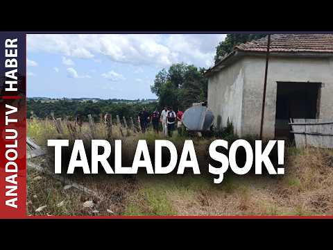 TARLADA YANMIŞ KADIN CESEDİ BULUNDU...