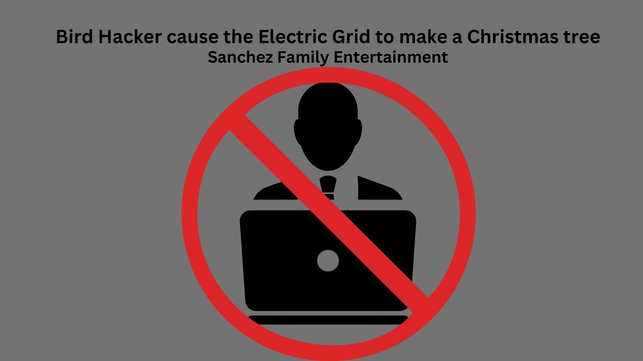 Bird Hacker causes Electric Grid to form into a Christmas Tree - YouTube