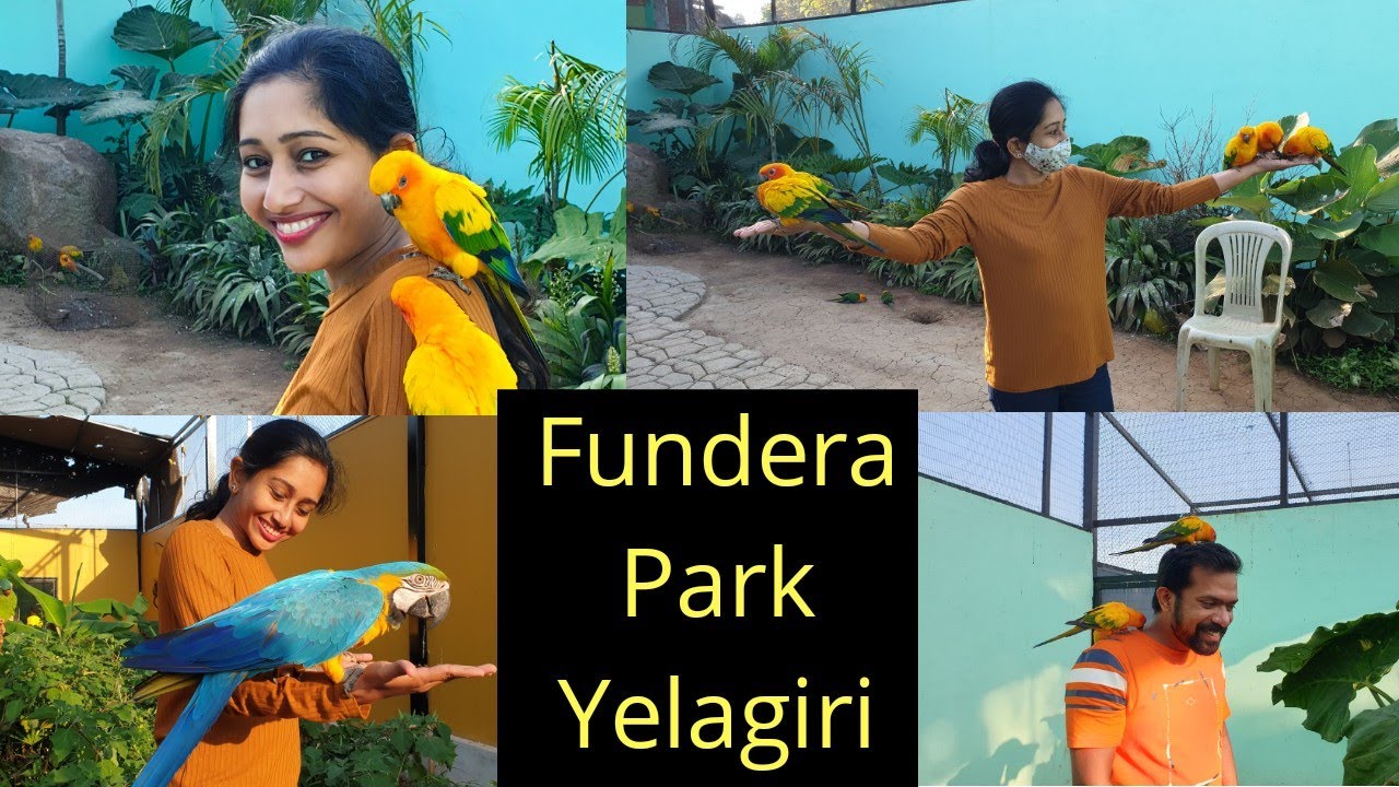 Best places to visit in yelagiri hills | Fundera Park Yelagiri - YouTube