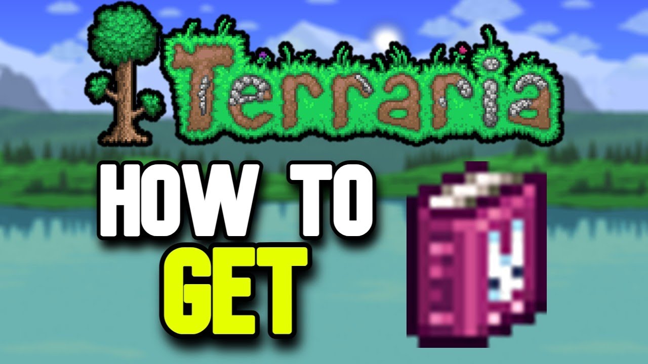 How to Get a Guide to Critter Companionship Book in Terraria - YouTube