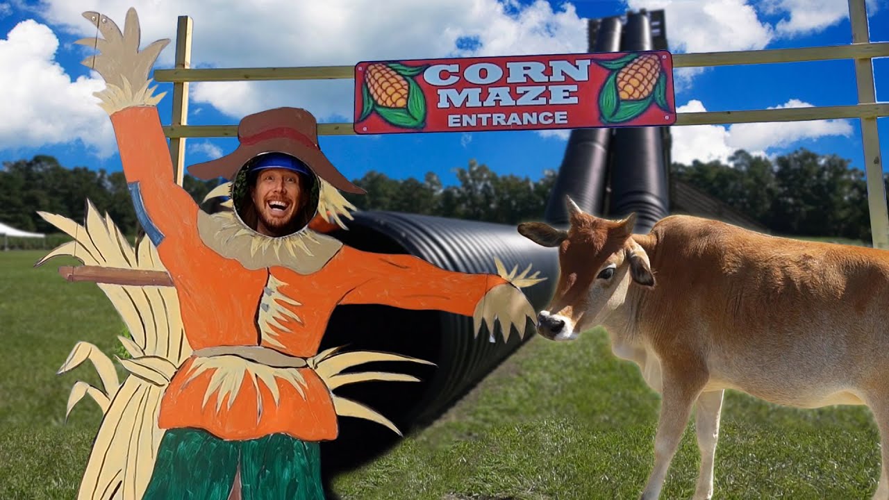 Fun on the Farm with Handyman Hal | Corn Harvest, Apple Picking, and ...