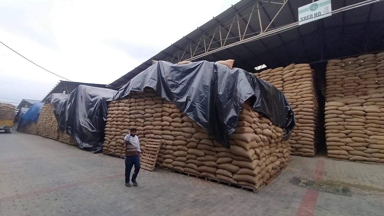 TLG Agro traders Pvt ltd - YouTube