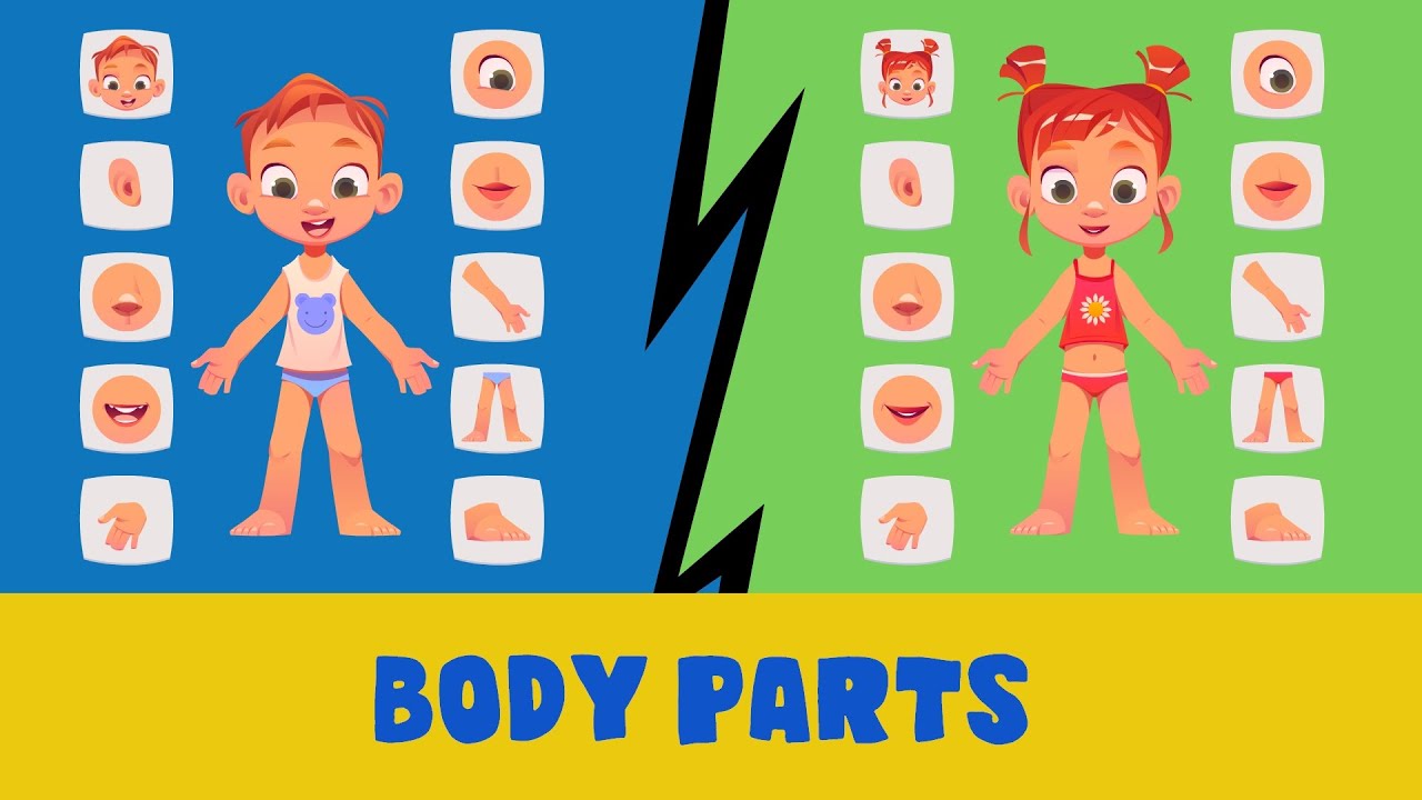 Learn Parts Of Body Name | Parts of Body Name in English | Human Body ...