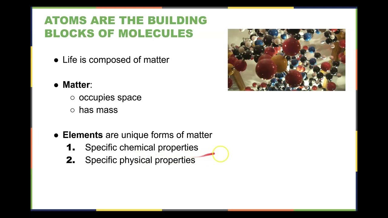 Chapter 2 The Chemical Foundation of Life - YouTube