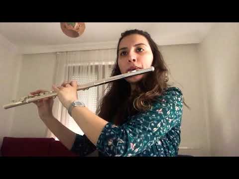 Birsen Tezer & Hüsnü Arkan - Hoş Geldin ( yan flüt cover )