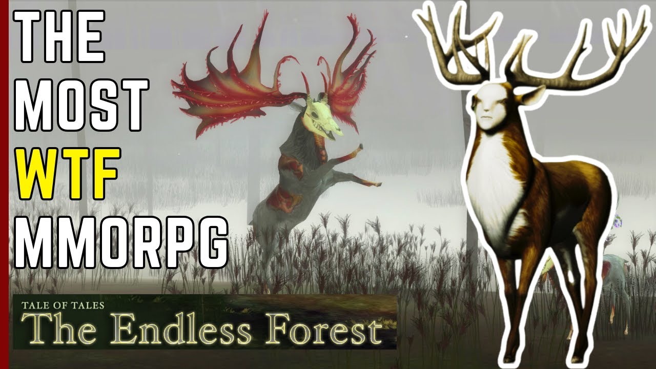 THE MOST WTF MMORPG? - The Endless Forest - YouTube
