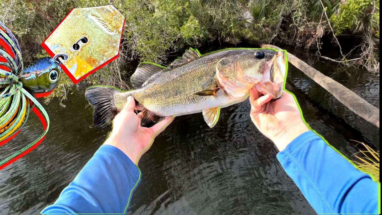 CHATTERBAIT.. Best early spring COVER lure - YouTube
