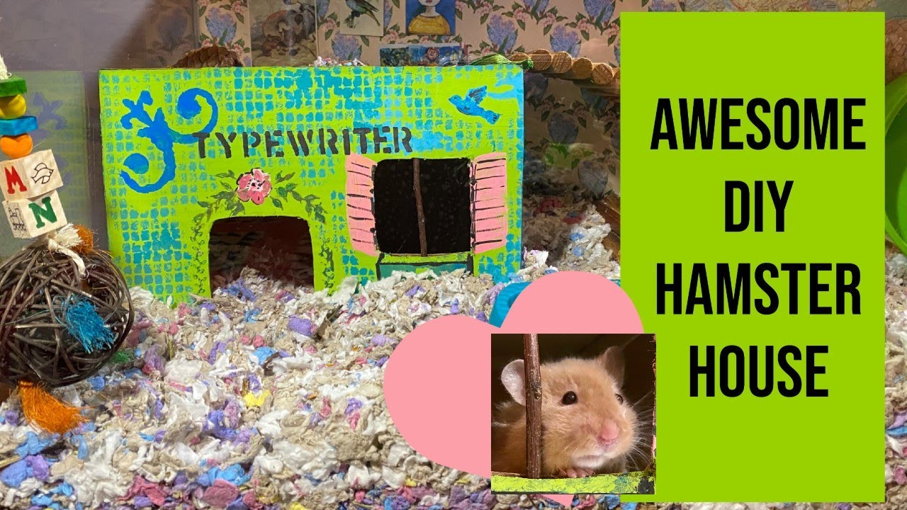 DIY Cardboard Hamster Hideout | Awesome Hamster House - YouTube